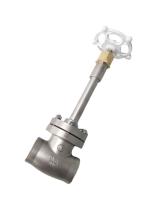 China DN40 CF8 304 Stainless Steel Globe Valve for Low Temperature Applications -196℃ to +80℃ with 5.0MPa Pressure Rating for sale