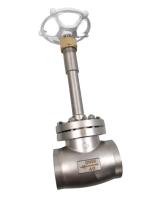 China Stainless Steel 304 CF8 DN65 Cryogenic Globe Valve -196℃ to +80℃ Temperature Range PN5.0MPa Pressure for sale