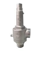 China DN25 Spring Direct Acting Cryogenic Safety Valve -196°C to +80°C 4.0MPa for LNG LOX LN2 Applications for sale