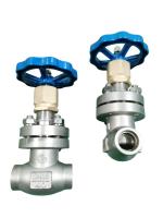 China Short Stem SS304 SS316 Cryogenic Globe Valve DN10-DN100 -80℃ to +80℃ 4.0MPa Pressure for sale