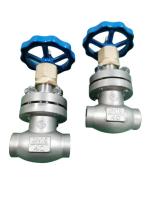 China LNG LO2 LN2 DN15 PN40 Stainless Steel Globe Valve for sale
