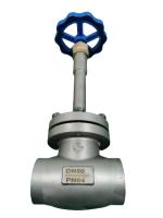 China Cryogenic 304 316 Stainless Steel Socket Weld Globe Valve DN50 PN65 for -196°C Applications for sale
