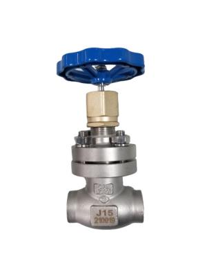 China Low Temp 3/8 Inch Cryogenic Globe Valve CF8 Body Material for sale