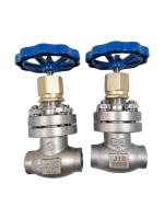 China Temperature -80℃ Cryogenic Globe Valve PN40 With Socket Weld Ends for sale