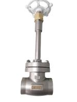 China Liquid Ammonia SS304 SS316 Cryogenic Globe Valve DN10-100 for sale
