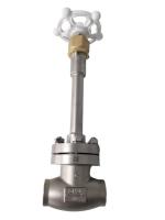 China DN65 SS304/316 Cryogenic Socket Weld Globe Valve -196°C to +80°C Temperature Range for LNG LO2 LN2 Applications for sale