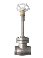 China Low Temperature LO2 LN2 Cryogenic Globe Valve High Pressure for sale