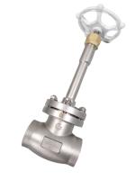 China Low Temperature SS304 SS316 Cryogenic Globe Valve PN40 for sale