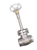 China PN40 SS304 SS316 Cryogenic Socket Weld Globe Valve Liquid Nitrogen for sale