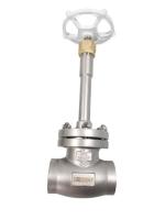 China Gas Stainless Cryogenic -196C Socket Weld Globe Valve PN40 SS304 SS316 for sale