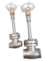 China Stainless Steel 304/316 Gas Low Temp Socket Weld Globe Valve for sale