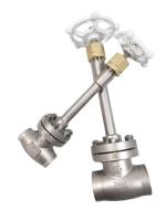 China PN40 Stainless Steel 304 Socket Weld Globe Valve Low Temperature for sale