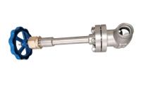 China LNG Tank SS304 SS316 Socket Weld Globe Valve DN10 To DN100 Low Temperature for sale