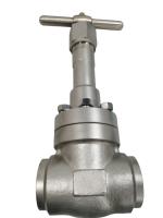 China SS304/316 Cryogenic Globe Valve DN15-100mm PN320 for LNG & Industrial Applications for sale