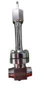 China Stainless Steel High Pressure Cryogenic Globe Valve DN10-100mm PN32.0MPa for LNG LN2 LAr Applications for sale