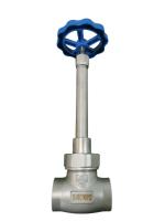 China Cryogenic PN40 Low Temperature Globe Valve Socket Weld For O2 for sale