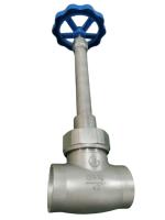 China 4 Inch Cryogenic Extended Bonnet Globe Valve DN10-250MM PN4.0MPa for LNG and LC2H4 Applications for sale