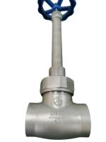 China DN40 Cryogenic Globe Valve In Petroleum Chemical Industry for sale