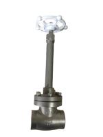 China Stainless Steel 304 Weld Type Cryogenic Globe Valve Long Stem For LNG for sale