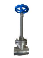 China PN40 SS304 Low Temperature Globe Valve Flange Type Long Stem For LNG for sale