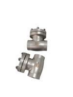 China DN40 Stainless Steel Cryogenic Check Valve for LNG Applications - 40.0MPa Pressure Rating, DN10-100mm Size Range for sale