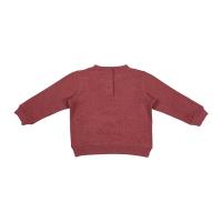 China Baby Boys Comfortable Cotton Polyester Fleece Pullover Sweatshirt with O-Neck Collar for sale
