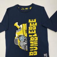China 100% Cotton Boys Clothing Sets Long Tshirt and Pants for Ages 0-16 Years OEM Custom Sizes for sale