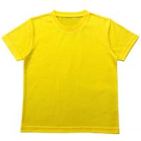 China 100% Cotton O-Neck Short Sleeve Boys T-Shirt for Ages 2-10 Years Smart Casual Style for sale
