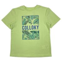 China Custom 100% Cotton Jersey Boys T-Shirts Short Sleeve Anti-Shrink Sizes 2Y-10Y for sale