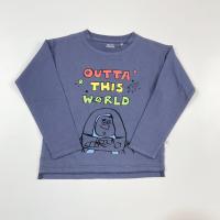 China 160-210 GSM 100% Cotton Long Sleeve Boys T-Shirt for Custom Kids Clothing Ages 3-10 for sale