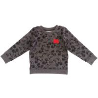 China Boys and Girls Pullover Customized Cotton Kid Hoodie with Regular Sleeve Style for sale