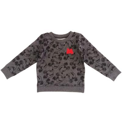 China Boys and Girls Pullover Customized Cotton Kid Hoodie with Regular Sleeve Style for sale