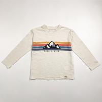 China Custom Printed Cotton Boys T-Shirt for Kids Ages 3-10 Years Eco-Friendly for sale