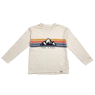 China Anti-pilling Kids Cotton T-shirt Long Sleeved Boys Plain Children Wear 3-10 Years for sale