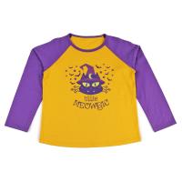 China 100% Cotton Raglan Long Sleeve Toddler Girls T-Shirt Western Halloween Print Ages 0-12 for sale
