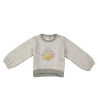 China 6-9 Months Baby Pullover Hoodie 60% Cotton 40% Polyester Skin Friendly Comfortable Fabric for sale