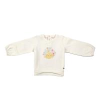 China 6-9 Months Baby Pullover Hoodie 60% Cotton 40% Polyester Skin Friendly Comfortable Fabric for sale