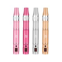 China Wireless Derma Pen Microneedling System for Scar Removal Anti Aging 0.25mm Needles for sale