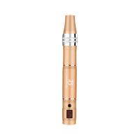 China Wireless Derma Pen Microneedling System for Scar Removal Anti Aging 0.25mm Needles for sale