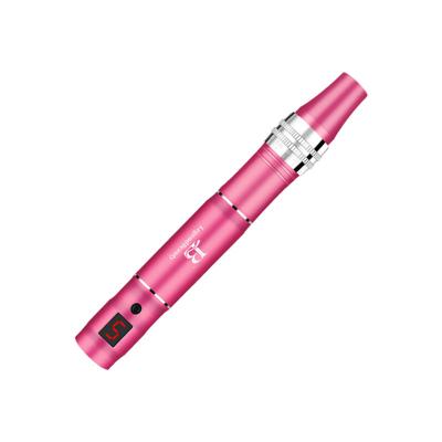 China Wireless Derma Pen Microneedling System for Scar Removal Anti Aging 0.25mm Needles for sale