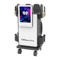 China Experience the Difference with Emslim Voltage 220V for Slimming/Massage for sale
