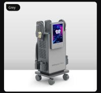 China Experience the Difference with Emslim Voltage 220V for Slimming/Massage for sale
