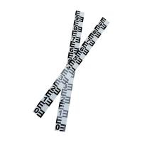 China 1 Meter Resolution Advanced Water Level Staff Gauge for Hydrological Monitoring by BGT for sale
