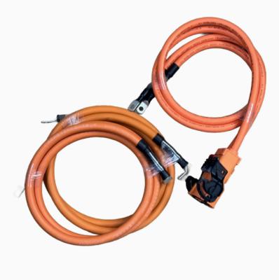 China HV EV Cable Wiring Harness Customized New Energy Cable XLPE 900V 1500V for sale