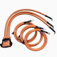 China HV EV Cable Wiring Harness Customized New Energy Cable XLPE 900V 1500V for sale