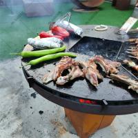 China Wood Burning Garden Metal Brasero Steel BBQ Grill for sale