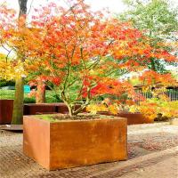 China Outdoor Round Flower Planter Pots Corten Steel 2mm Or Customized for sale