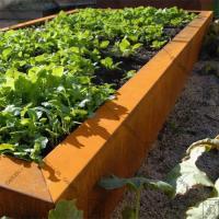 China Anti Corrosion 1.6mm  Corten Steel Border Edging Rusty Metal Landscape Edging for sale