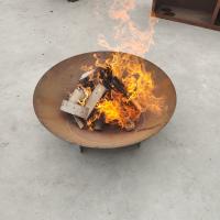 China ISO9001 Large Outdoor Metal Fireplace Woodburning Versatile Design for sale