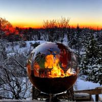 China Garden Wood Fuel fire sphere Outdoor Steel Fire Pit In Wooden Box for sale